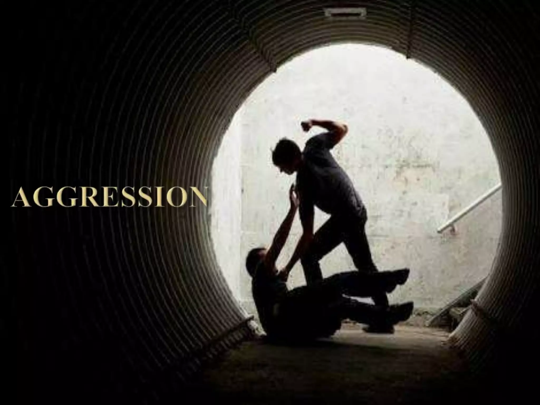 Aggression in Social Psychology | PPTX