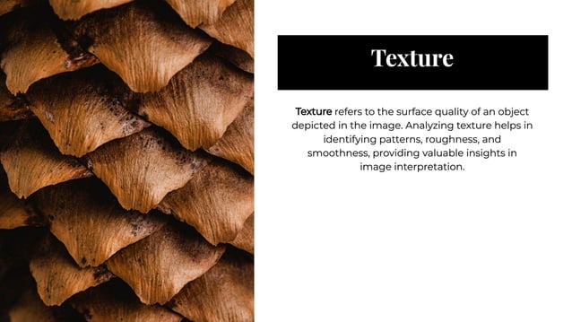 Basics of photogrammetry and image interpretation (2).pdf