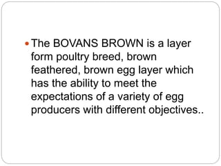 poultry breeding | PPTX