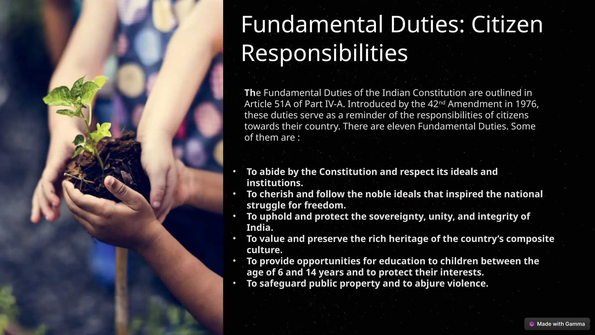Indian constitution presentation 10 page | PPTX