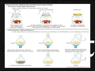 Group 1 Spontaneous Generation (How Life Begins ?) | PPTX