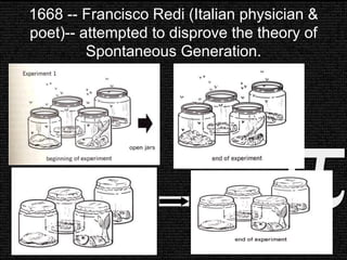 Group 1 Spontaneous Generation (How Life Begins ?) | PPT