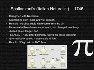 Group 1 Spontaneous Generation (How Life Begins ?) | PPT