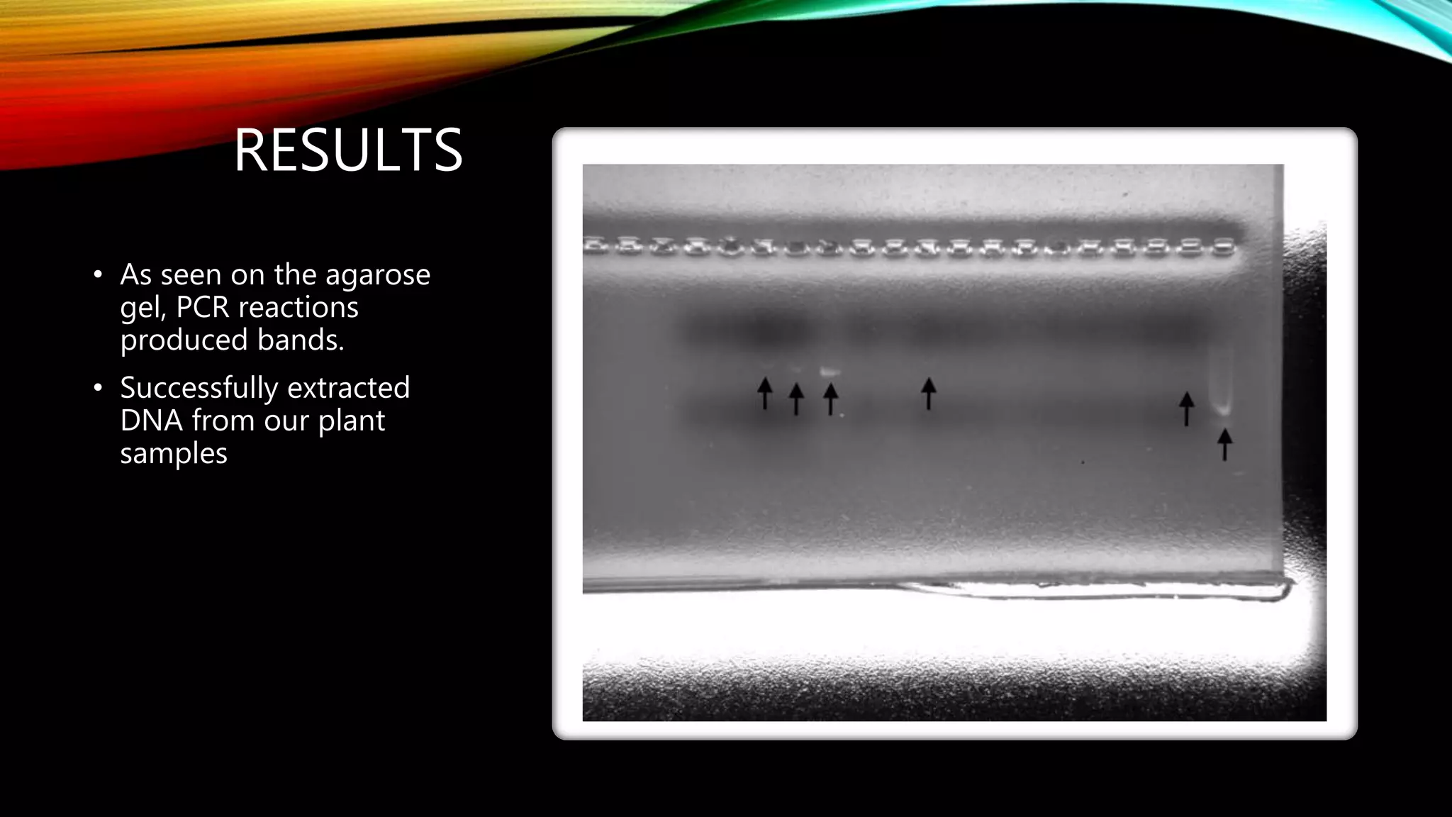 AUA DNA Barcoding 2018 Group 1 | PPT