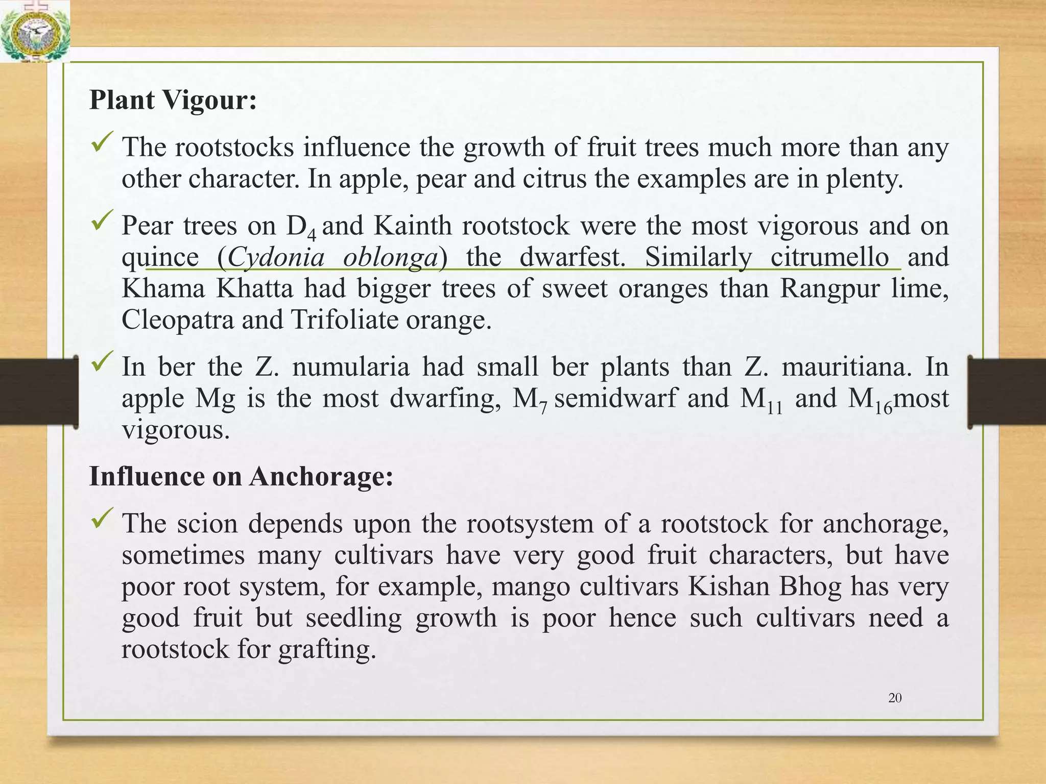 IMPORTANCE OF ROOTSTOCK IN CANOPY MANAGEMENT AND FRUIT PRODUCTION | PPTX