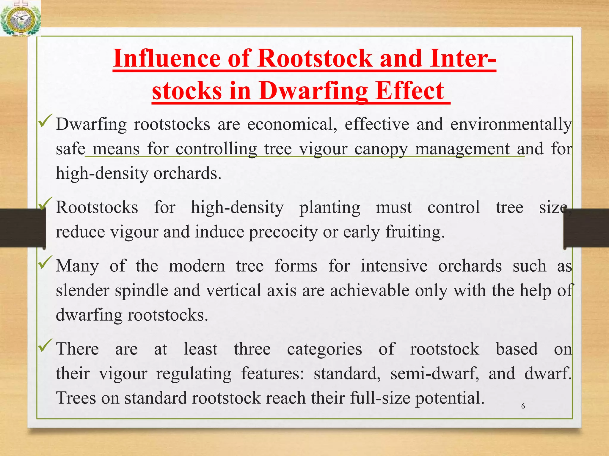 IMPORTANCE OF ROOTSTOCK IN CANOPY MANAGEMENT AND FRUIT PRODUCTION | PPTX