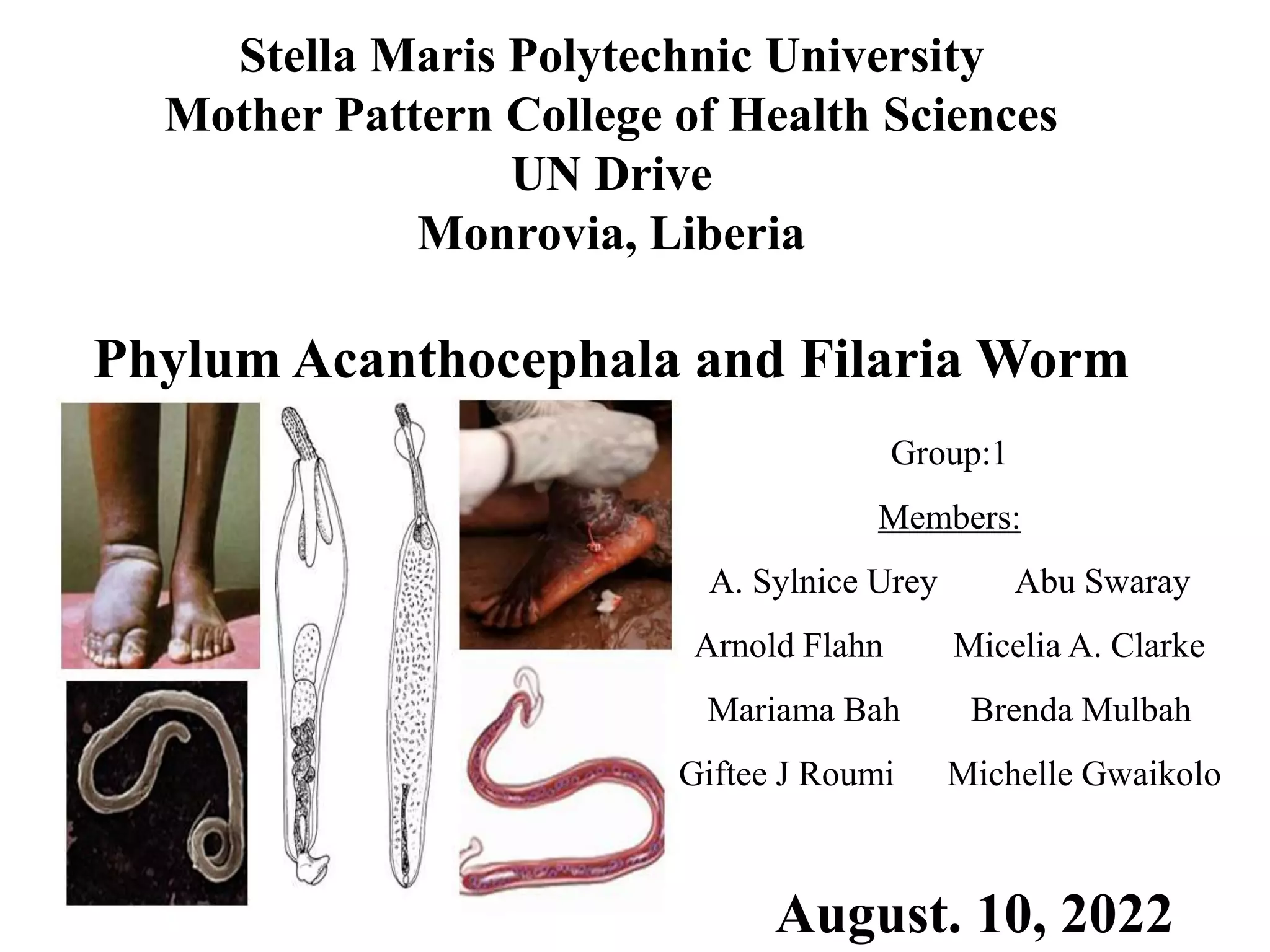 Phylum Acanthocephala and Filaria Worm | PPTX