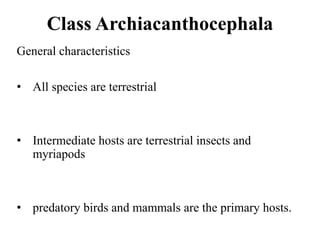 Phylum Acanthocephala and Filaria Worm | PPTX