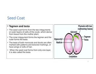 Anatomy of reproductive parts. botany assignment | PDF