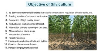 Silviculture , objective of silviculture,types of forest in india ...