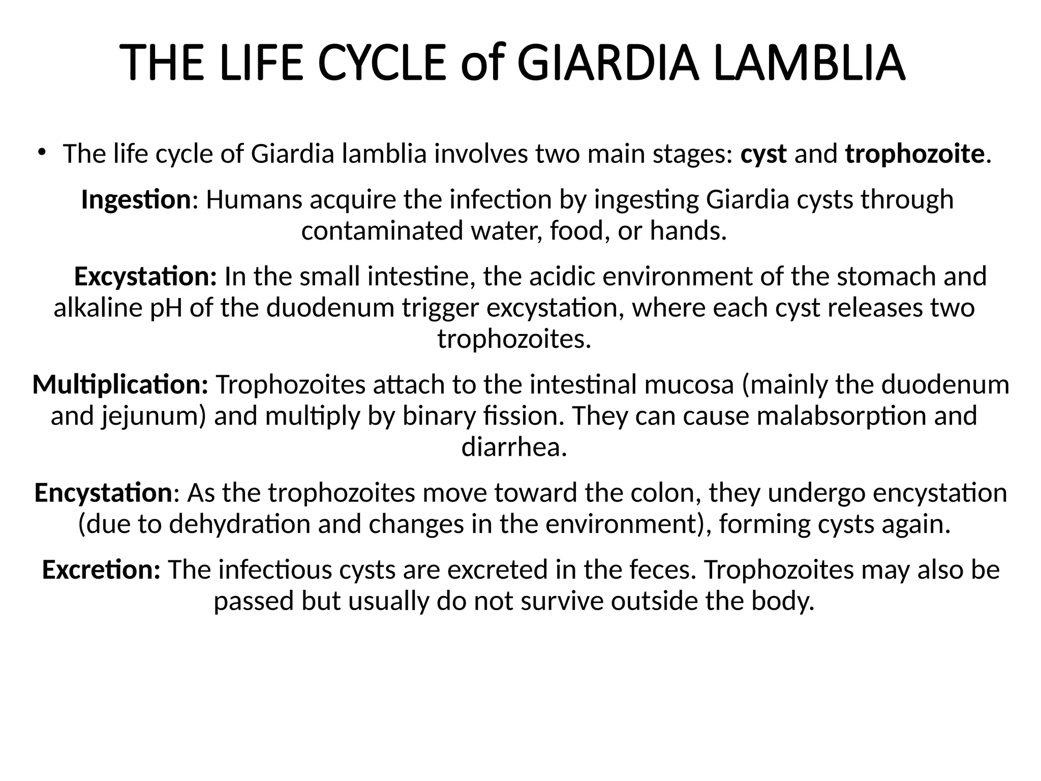 Group 1. PARASITIC DISEASES OF GI & HEPATO BILIARY SYSTEMS.pptx
