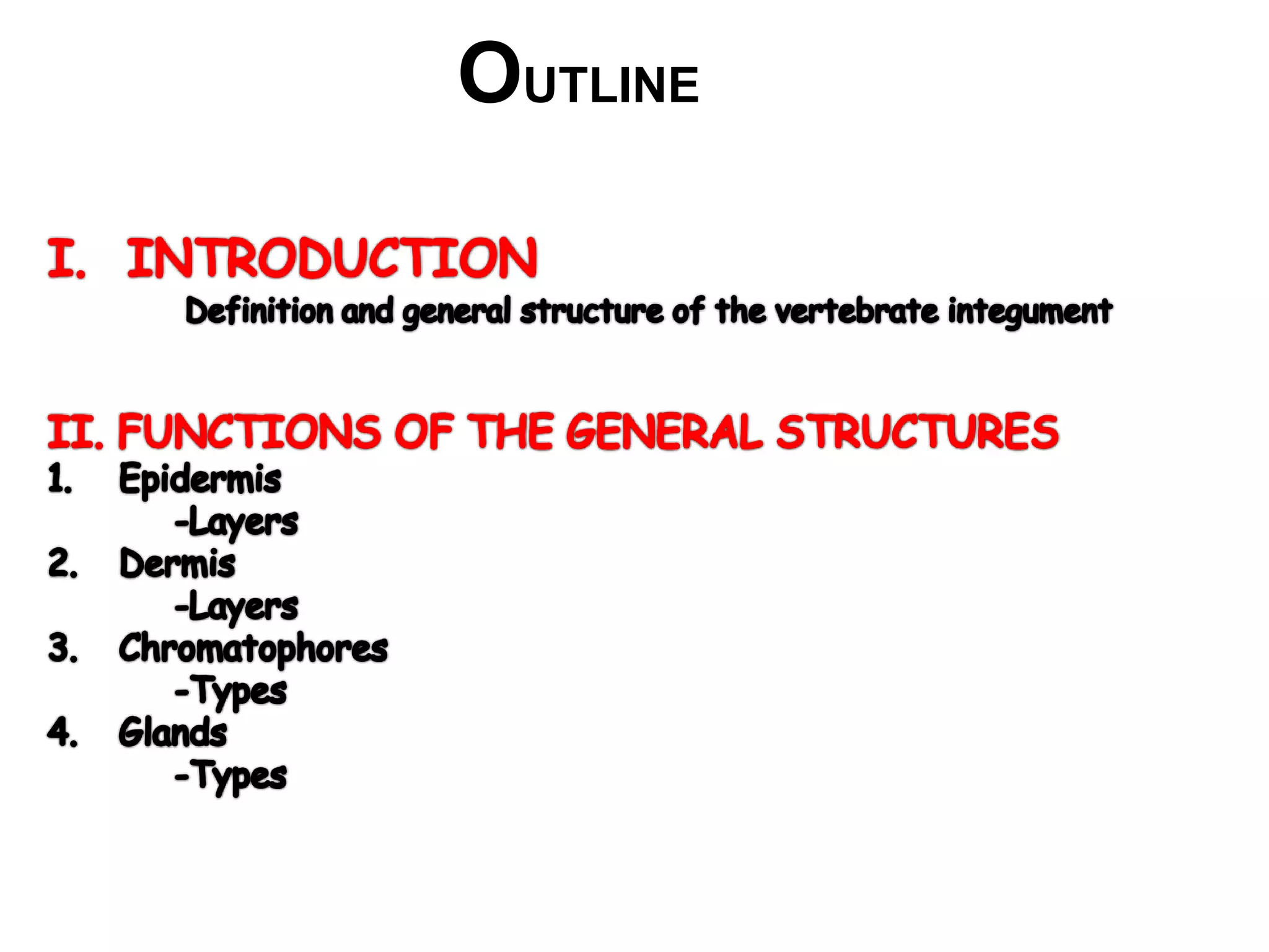 Comparative Anatomy - Integumentary System | PPTX