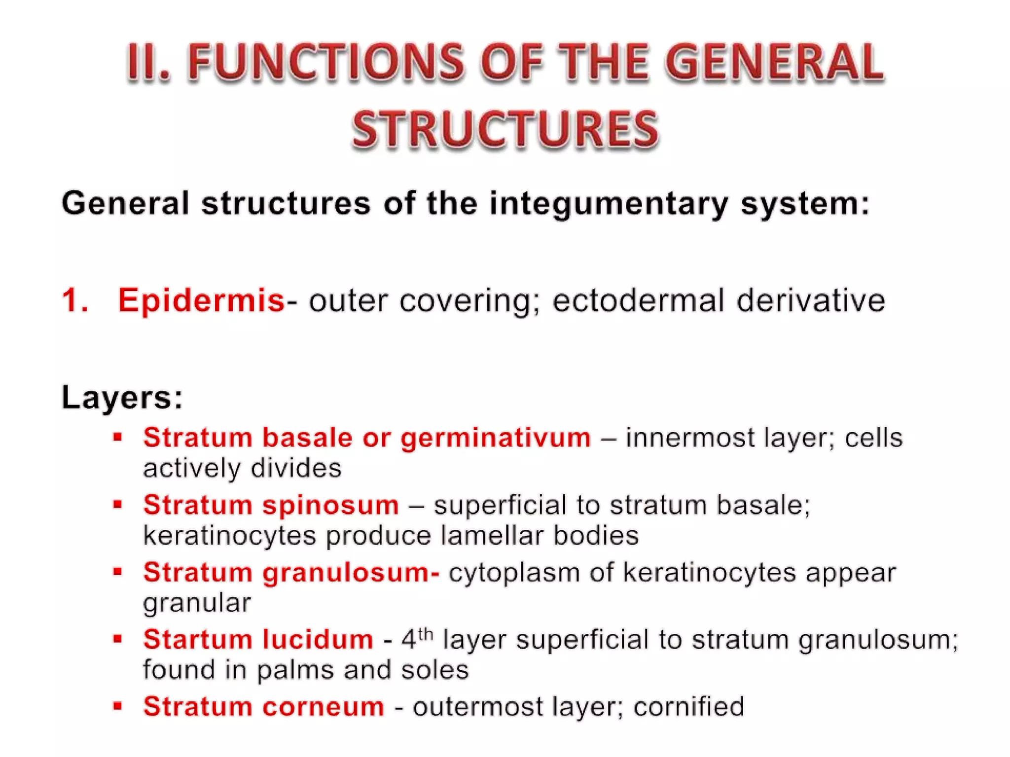 Comparative Anatomy - Integumentary System | PPTX