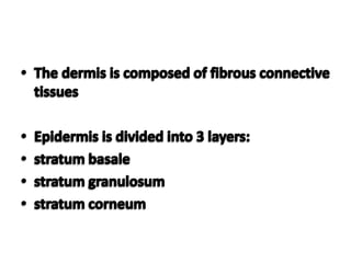 Comparative Anatomy - Integumentary System | PPTX