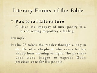 Group 1 - Nature Of The Bible | PPT | Books and Literature
