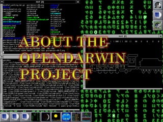 Group 1 - OpenDarwin | PPT