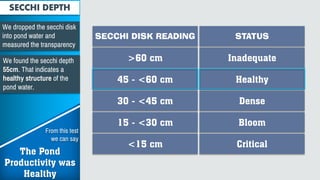 A Presentation on Aquaculture Practical Works | PPT
