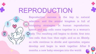 Process of Reproduction, What is reproduction, | PPTX