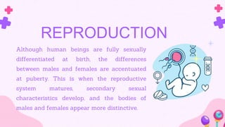 Process of Reproduction, What is reproduction, | PPTX