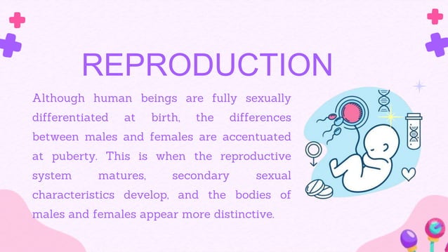 Process of Reproduction, What is reproduction, | PPTX