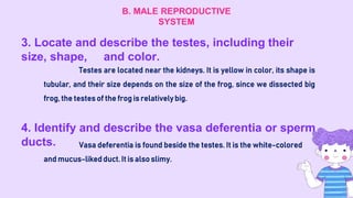 Group 1- Reproductive System.pptx