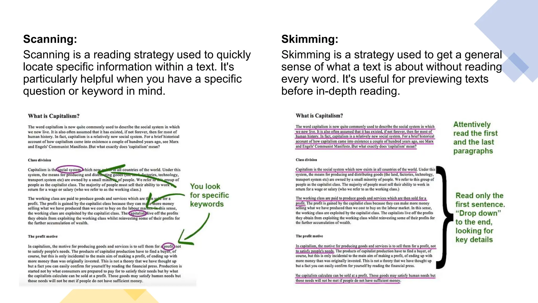 Scanning and skimming explanation slides | PPTX