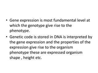 Regulation of gene expression in the cell.pptx