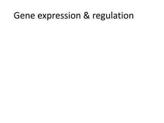 Regulation of gene expression in the cell.pptx