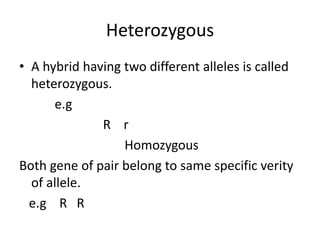 Regulation of gene expression in the cell.pptx
