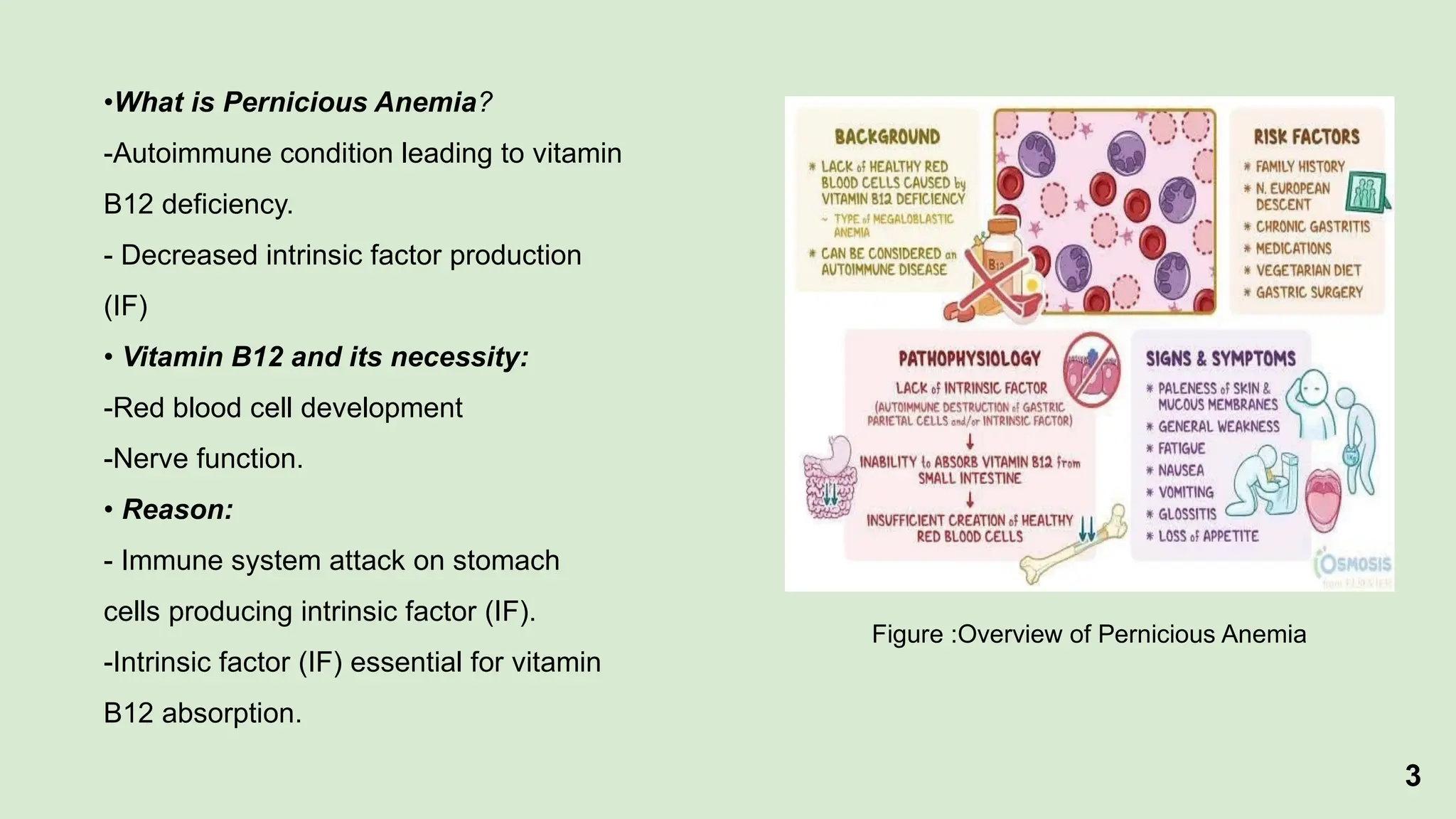 Pernicious anemia: a decrease in red blood cells | PPTX