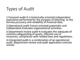Group 10 Audit-1.pptx