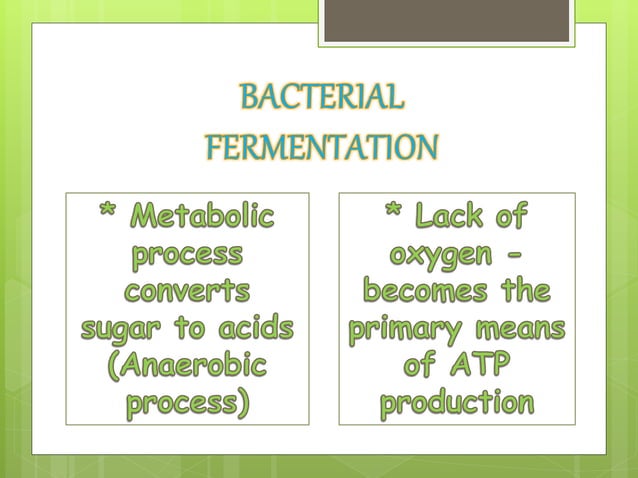 (Group10)bacterial fermentation | PPTX | Food & Drink