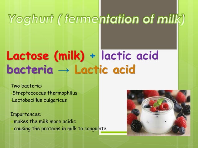 (Group10)bacterial fermentation | PPTX | Food & Drink