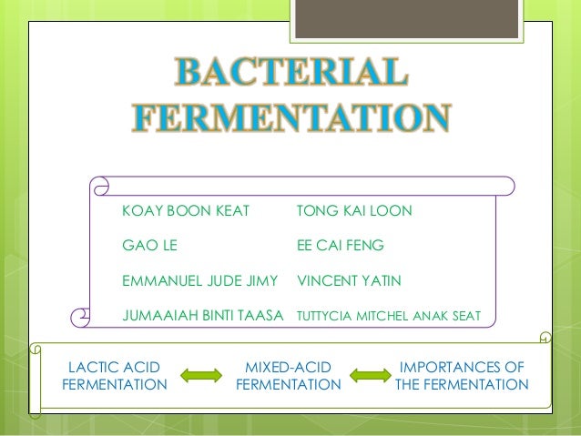 (Group10)bacterial fermentation