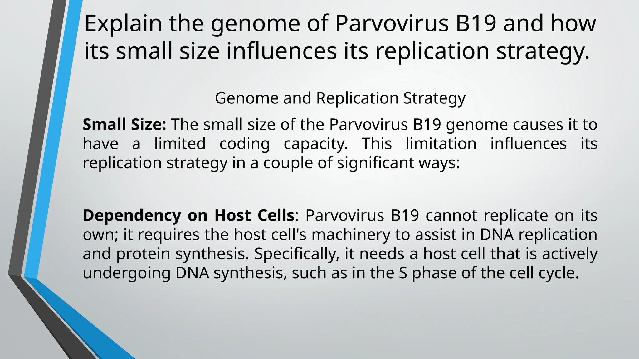 Microbiology pavoviruses GROUP 10 PPT final.pptx
