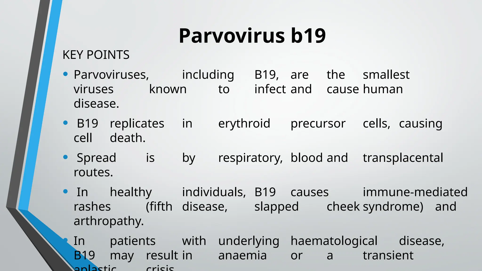 Microbiology pavoviruses GROUP 10 PPT final.pptx