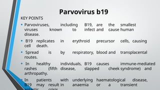 Microbiology pavoviruses GROUP 10 PPT final.pptx