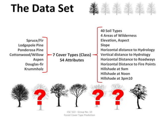 Forest Cover Type Prediction | PPTX