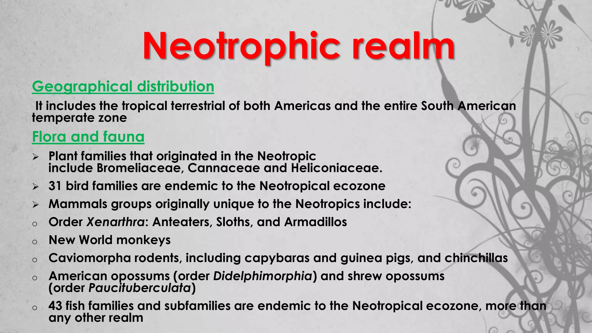 A brief presentation on Terrestrial Ecosystem | PPTX