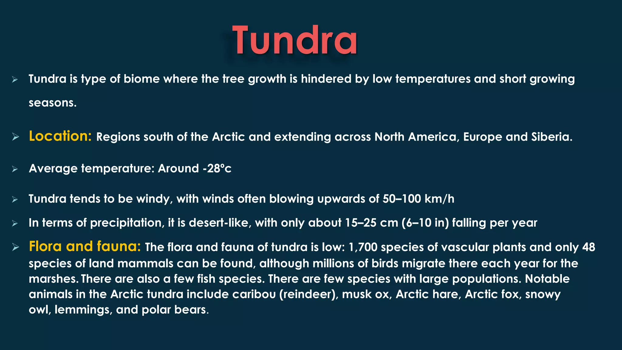 A brief presentation on Terrestrial Ecosystem | PPTX