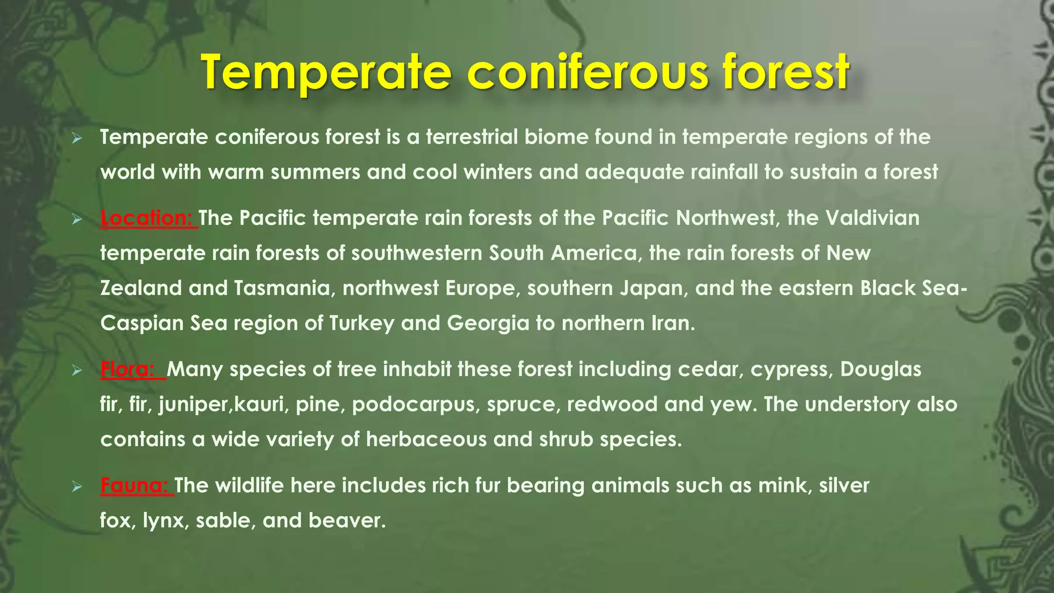 A brief presentation on Terrestrial Ecosystem | PPTX