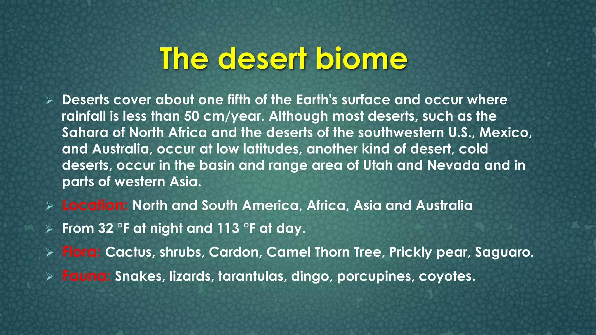 A brief presentation on Terrestrial Ecosystem | PPTX