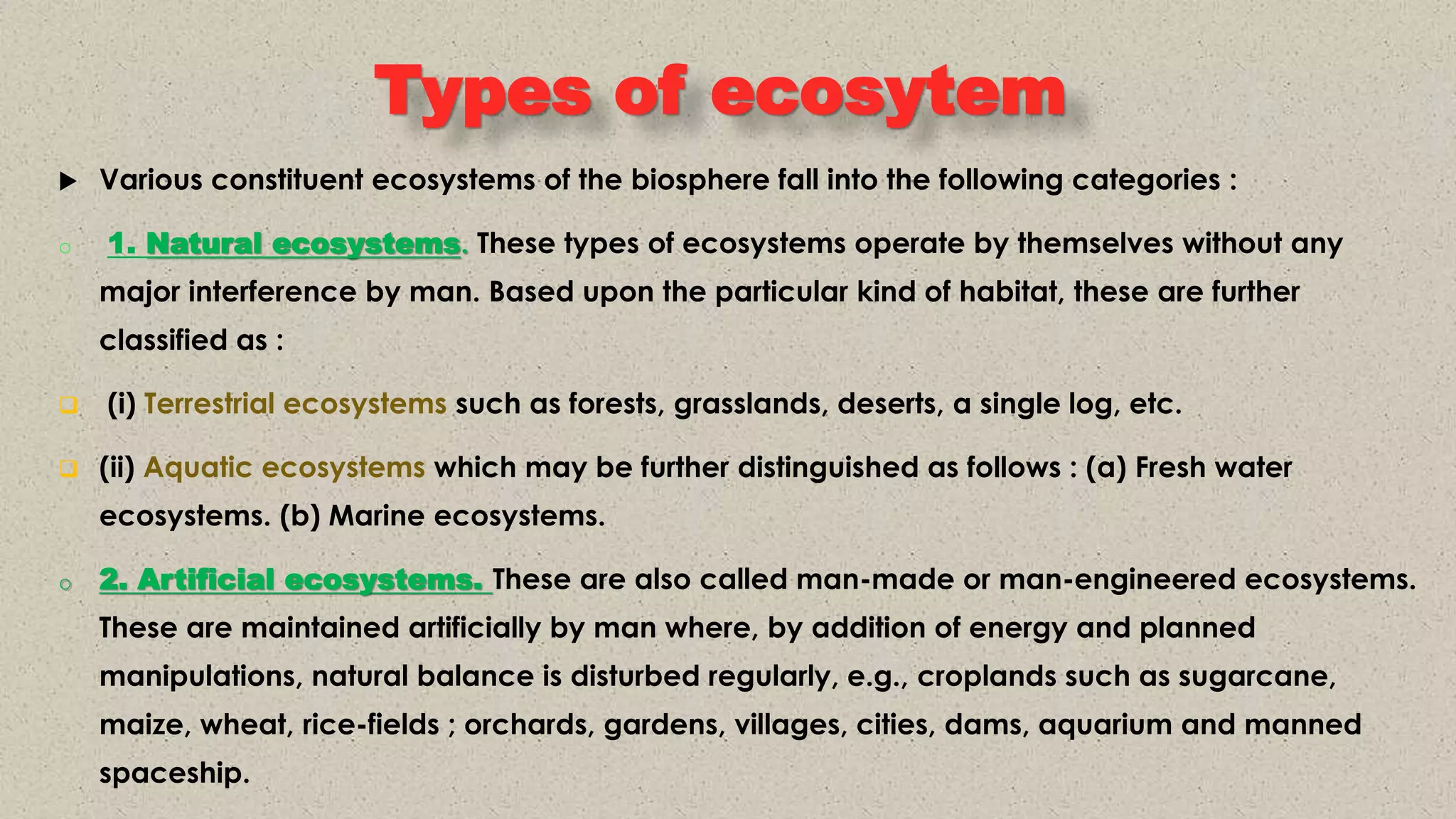 A brief presentation on Terrestrial Ecosystem | PPTX