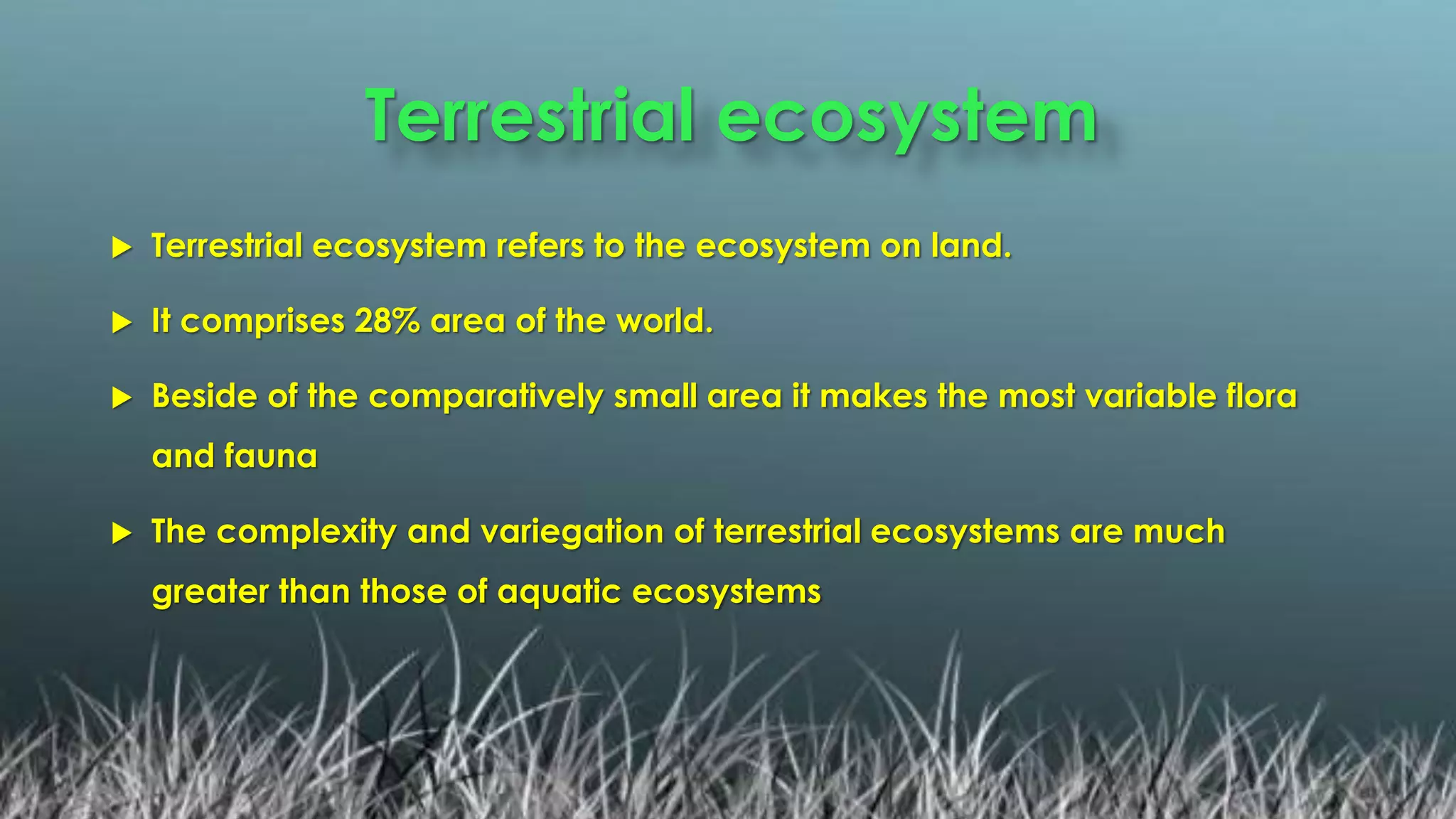 A brief presentation on Terrestrial Ecosystem | PPTX