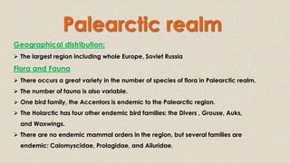 A brief presentation on Terrestrial Ecosystem | PPTX