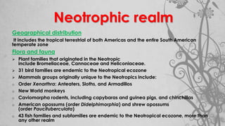 A brief presentation on Terrestrial Ecosystem | PPTX