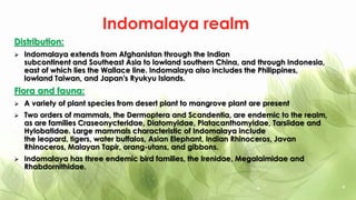 A brief presentation on Terrestrial Ecosystem | PPTX