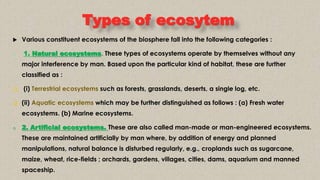 A brief presentation on Terrestrial Ecosystem | PPTX