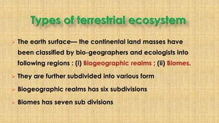 A brief presentation on Terrestrial Ecosystem | PPTX