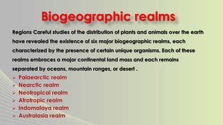 A brief presentation on Terrestrial Ecosystem | PPTX